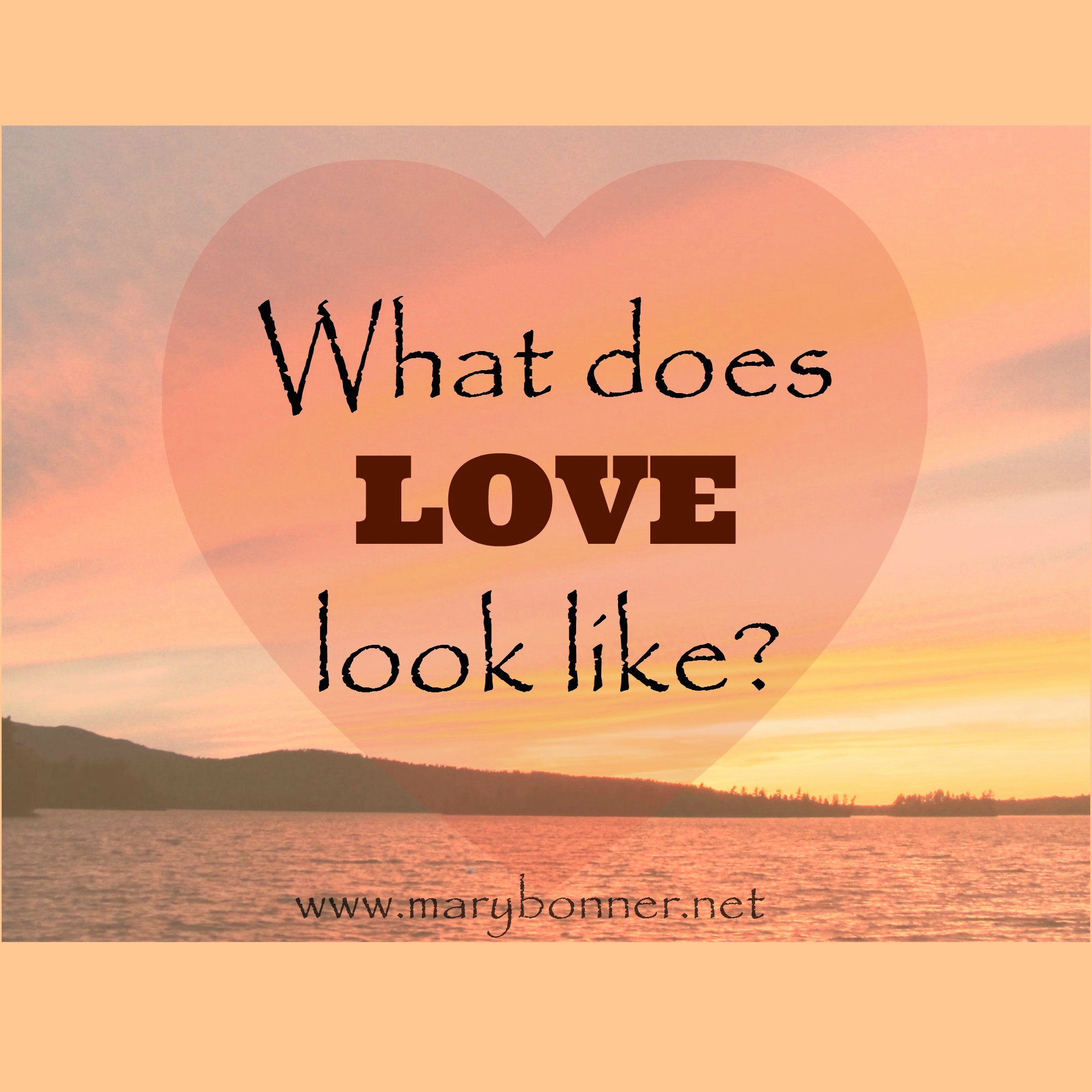 What does LOVE look like? - Mary Bonner